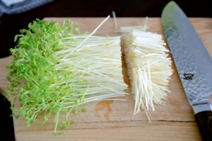 Quick Sautéed Pea Sprouts | Beyond Kimchee