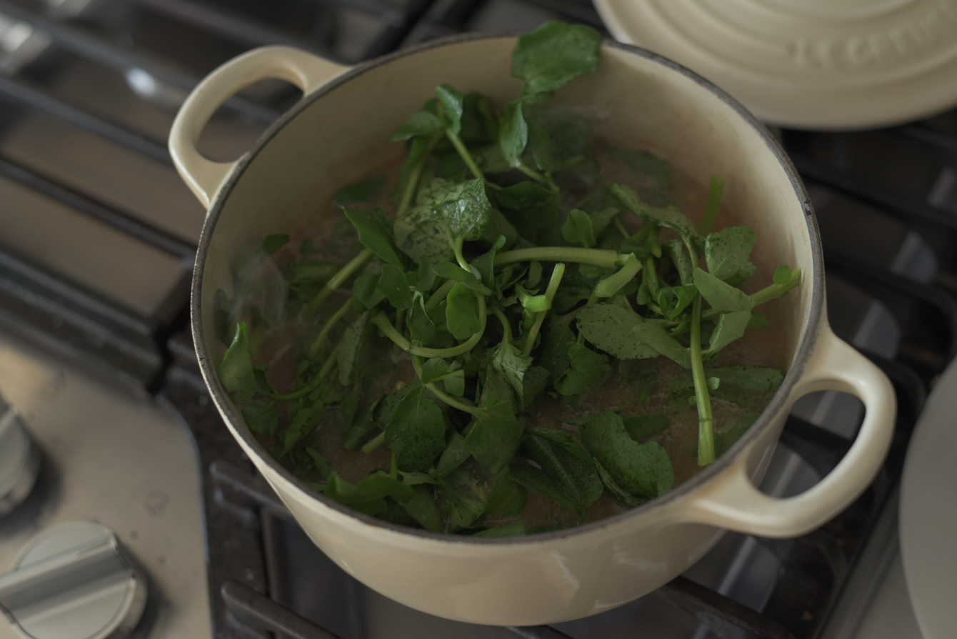 Doenjang-Guk (Soybean Paste Soup with Beef and Watercress) | Beyond Kimchee