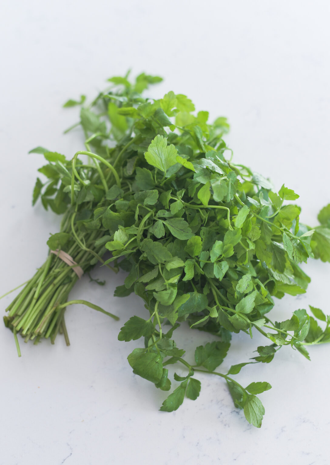 Minari Salad (Korean Water Dropwort) | Beyond Kimchee