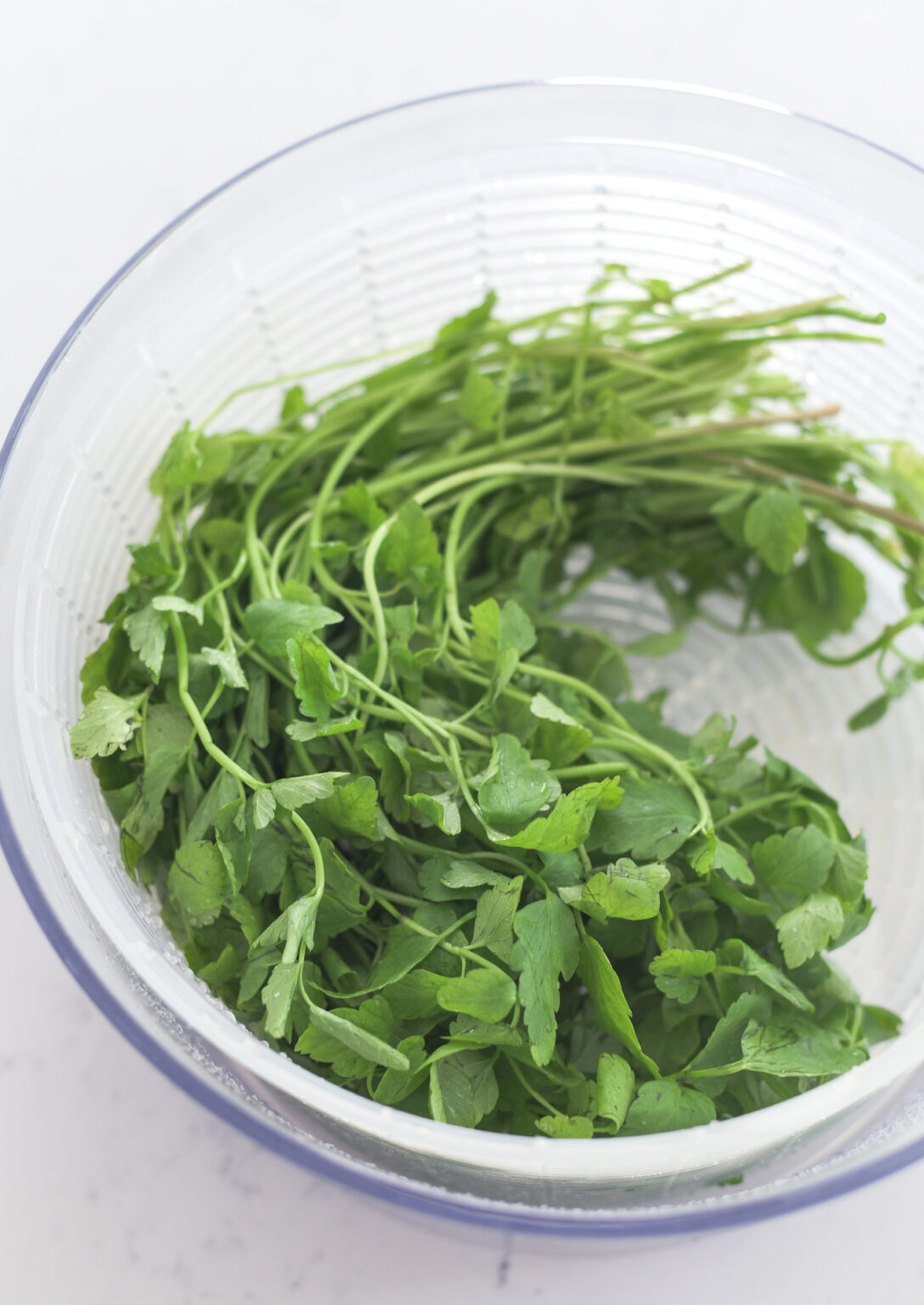 Minari Salad (Korean Water Dropwort) | Beyond Kimchee