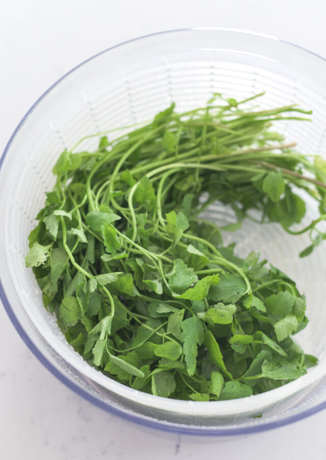Minari Salad (Korean Water Dropwort) | Beyond Kimchee