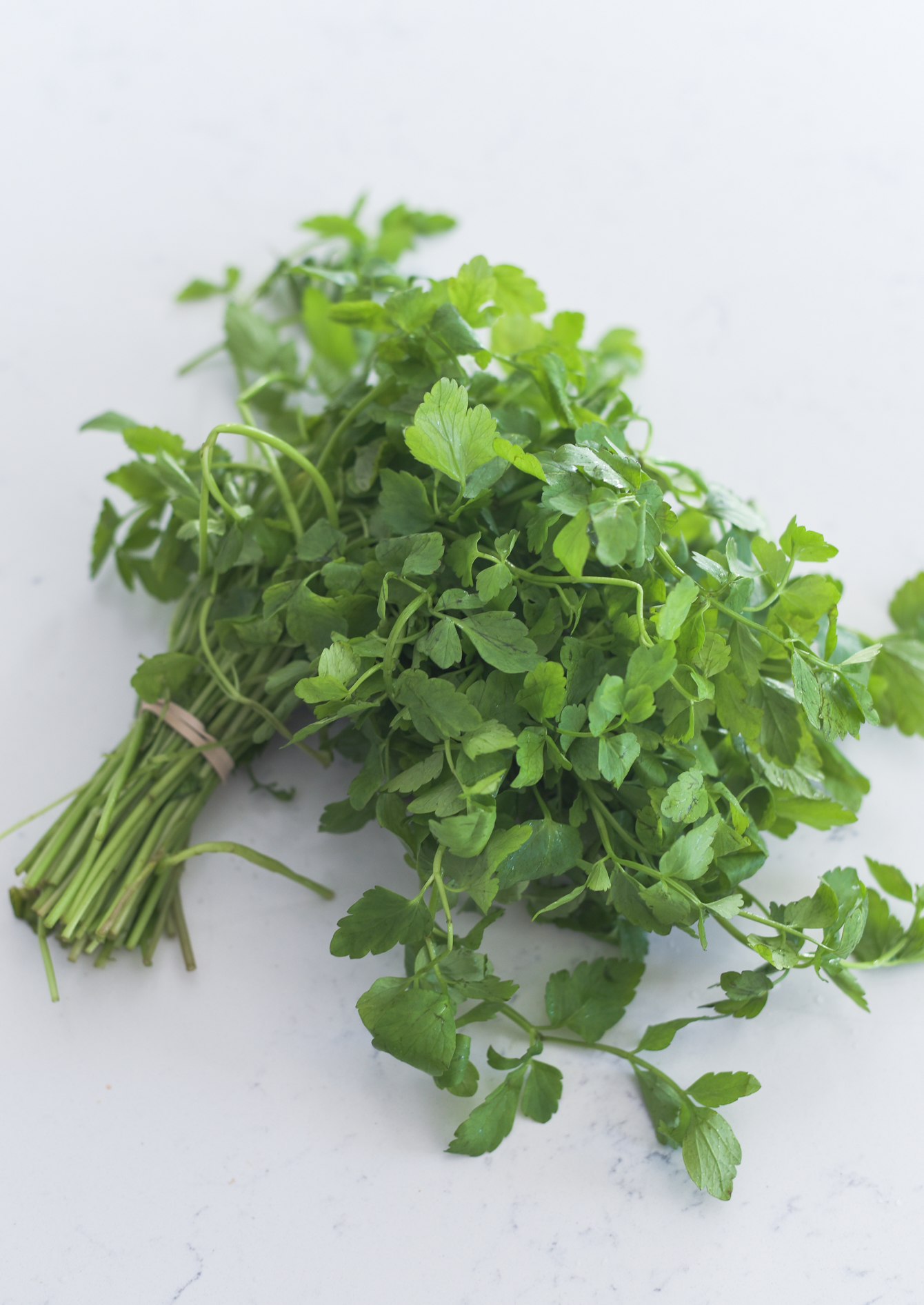 Minari Salad (Korean Water Dropwort) | Beyond Kimchee