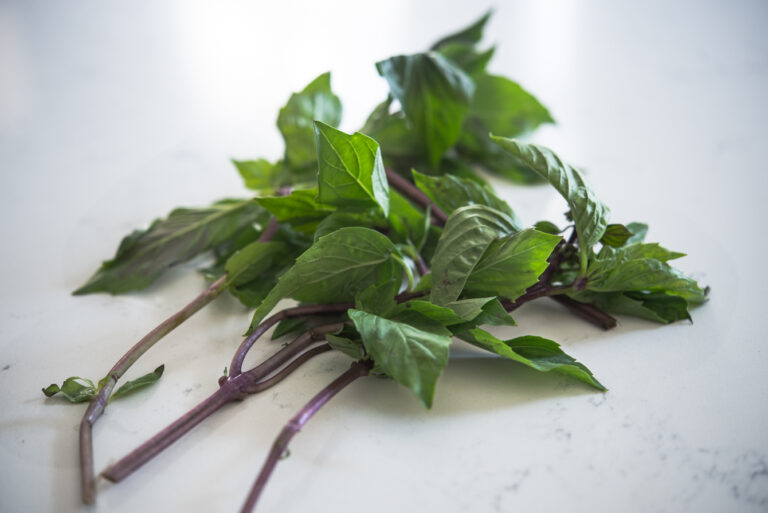 Thai Basil Beef (Pad Gra Prow) - Beyond Kimchee