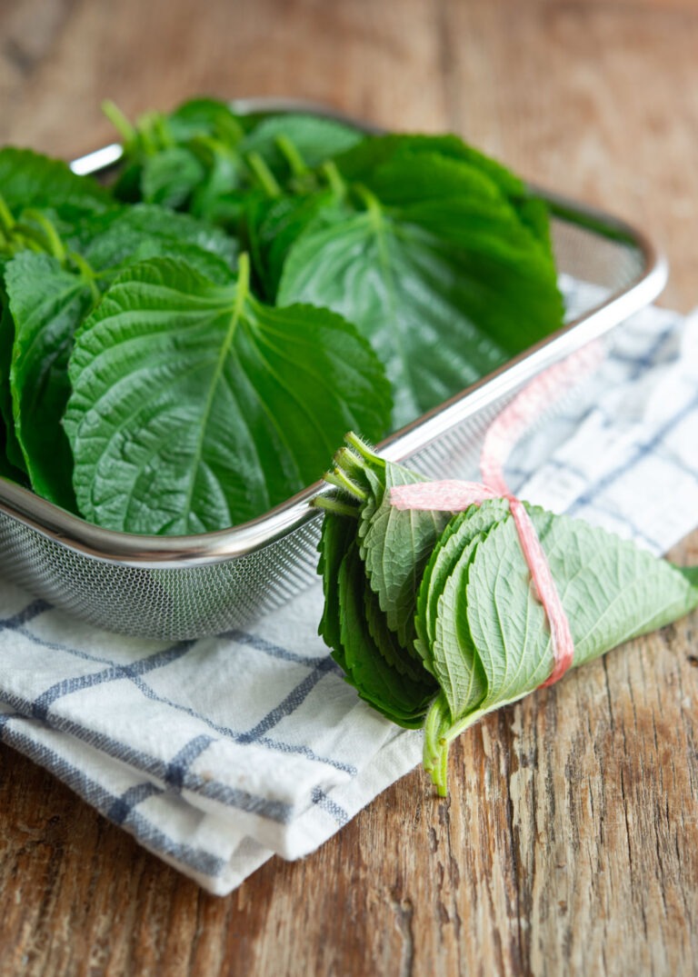 Kkaennip Kimchi (Korean Perilla Leaf Kimchi) - Beyond Kimchee