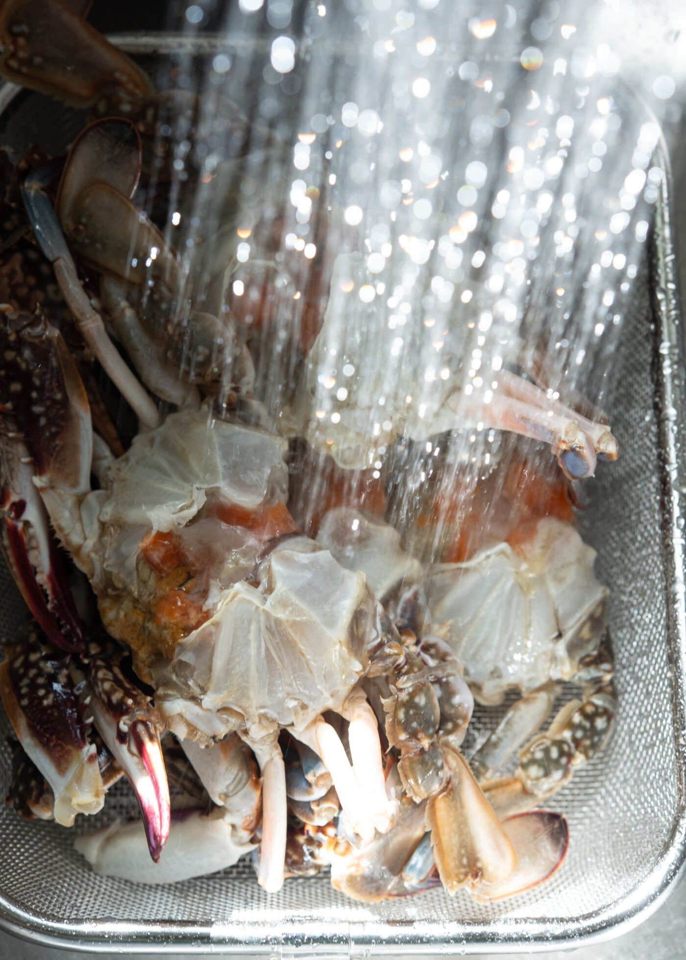 Spicy Raw Marinated Crab (Yangnyeom Gejang) - Beyond Kimchee