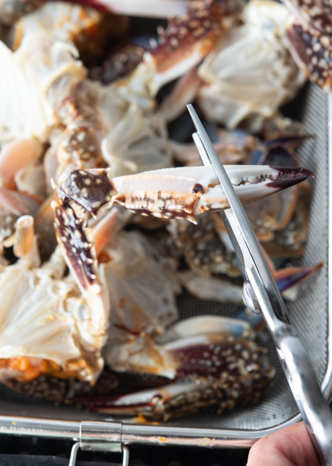 Spicy Raw Marinated Crab (Yangnyeom Gejang) - Beyond Kimchee