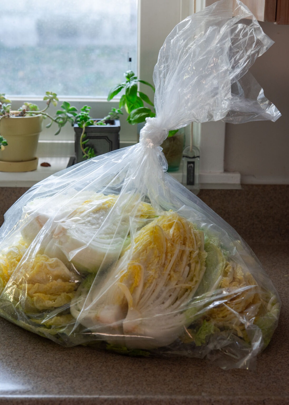 Traditional Korean Kimchi Recipe (Kimjang Kimchi) - Beyond Kimchee