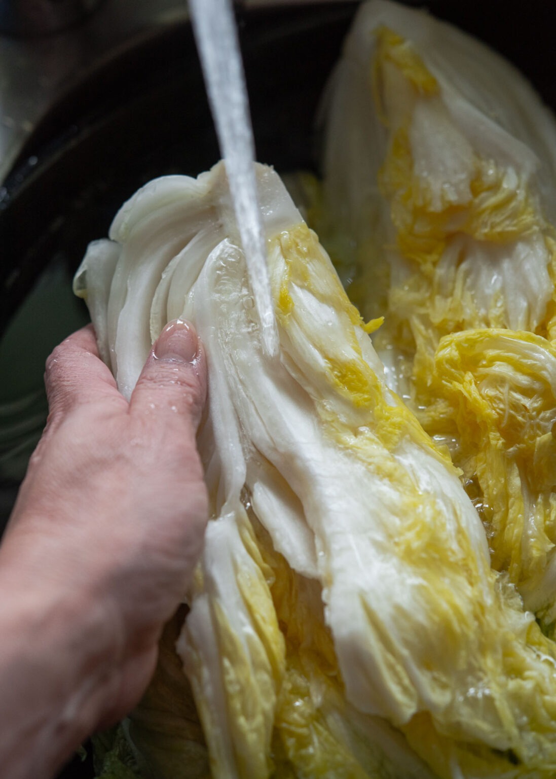 Easy White Kimchi (Baek Kimchi) - Non-Spicy | Beyond Kimchee