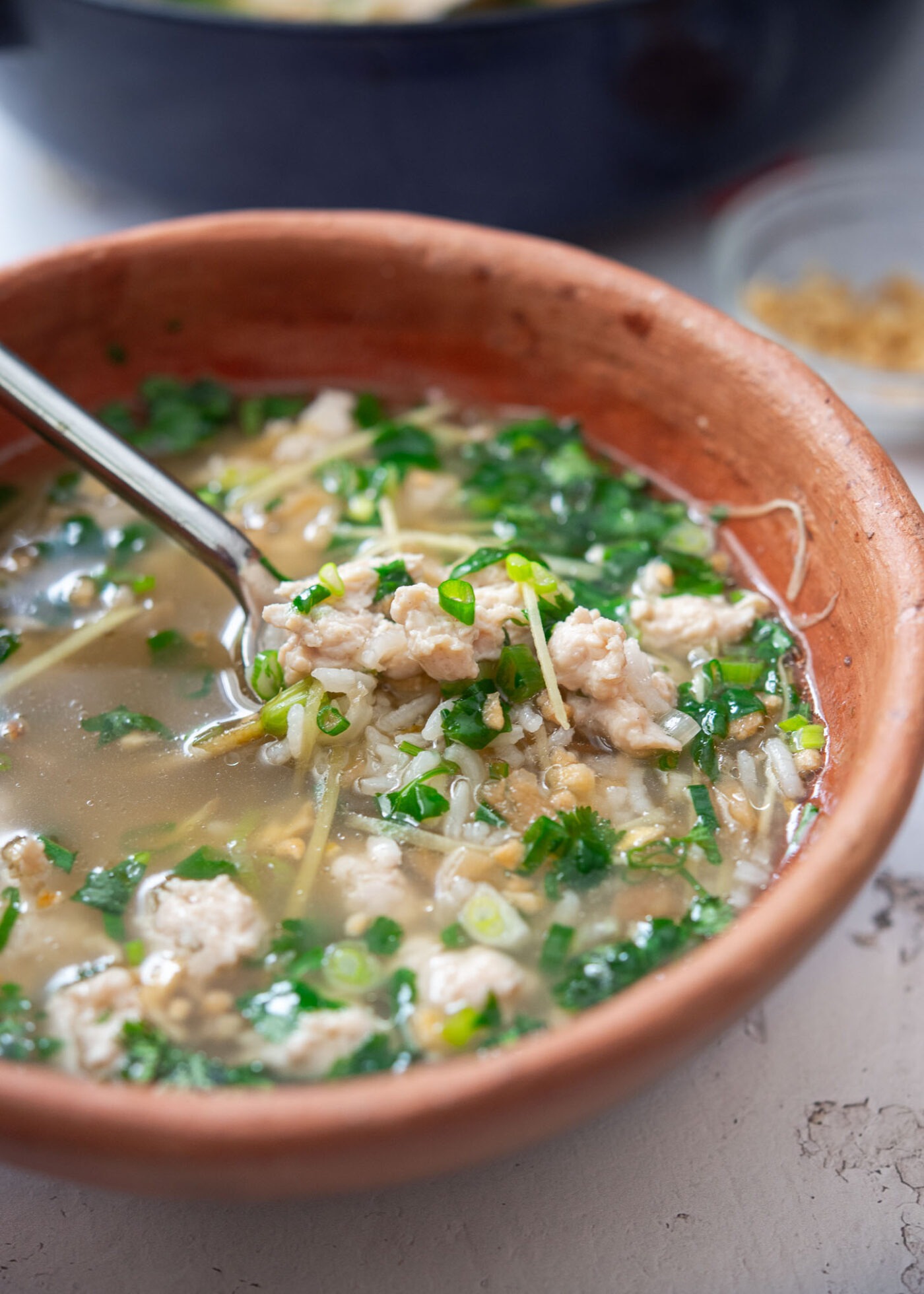 Easy Thai Chicken Rice Soup (Khao Tom Gai) - Beyond Kimchee